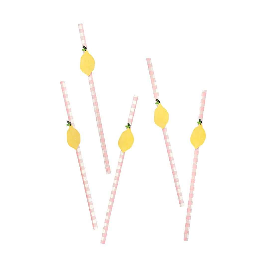 Lemon and Gingham Paper Straws | Tara's Wonderworld