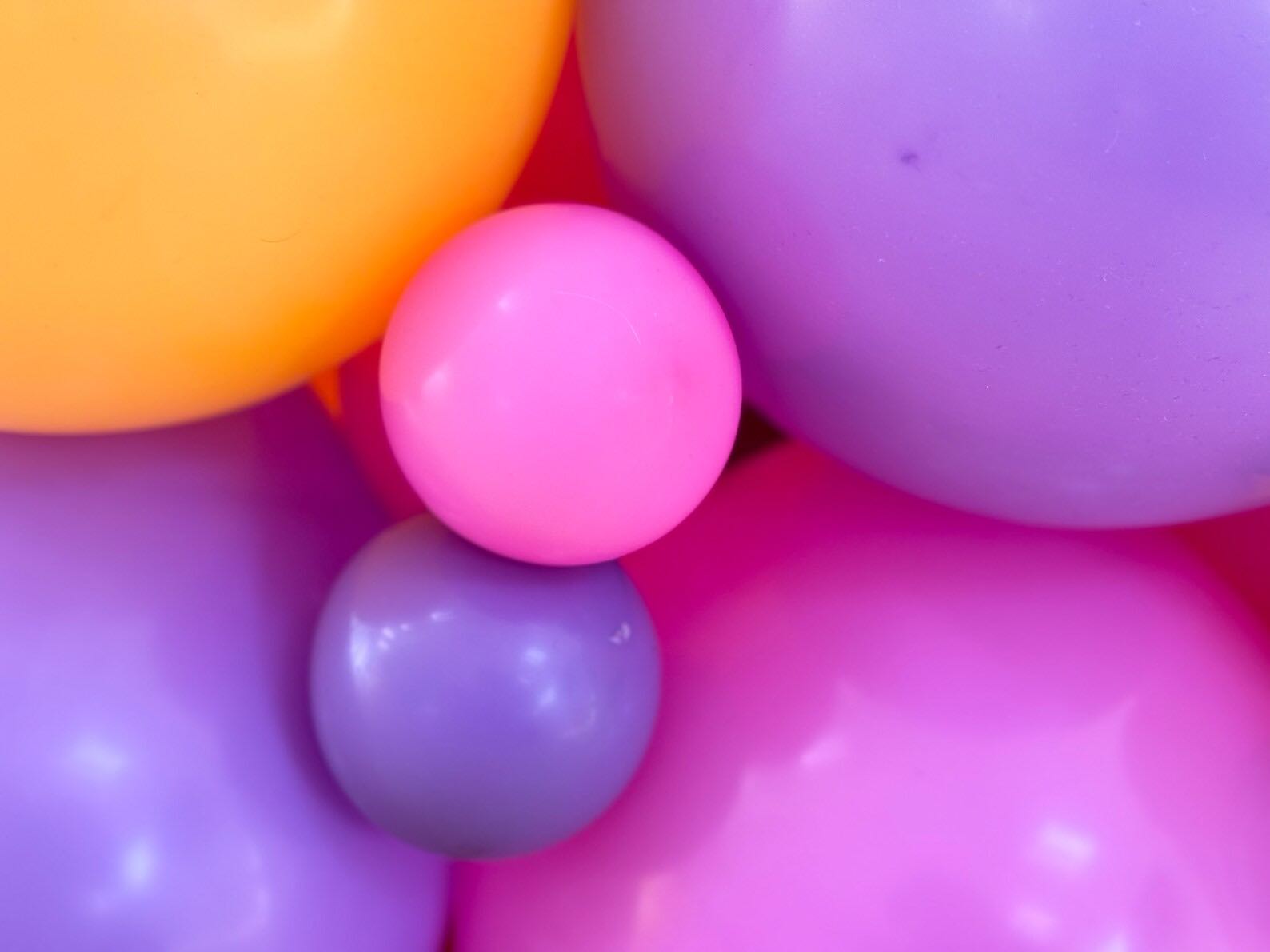 Sula Balloon Sculpture | Tara's Wonderworld